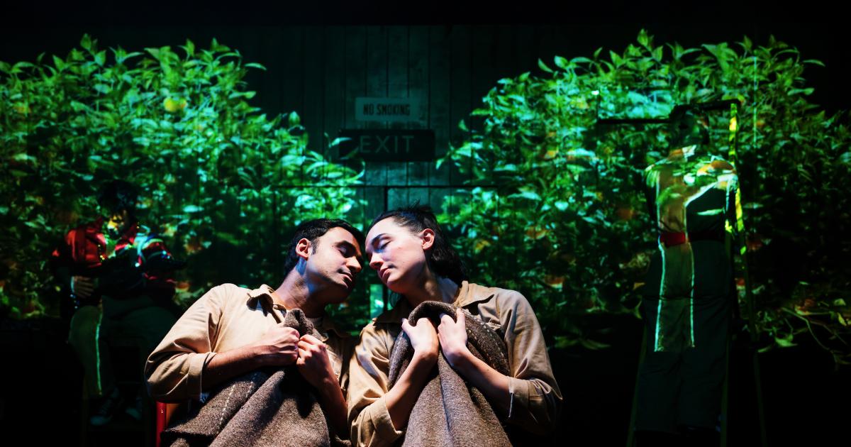 LAMDA Presents its First Green Season | London academy of music ...